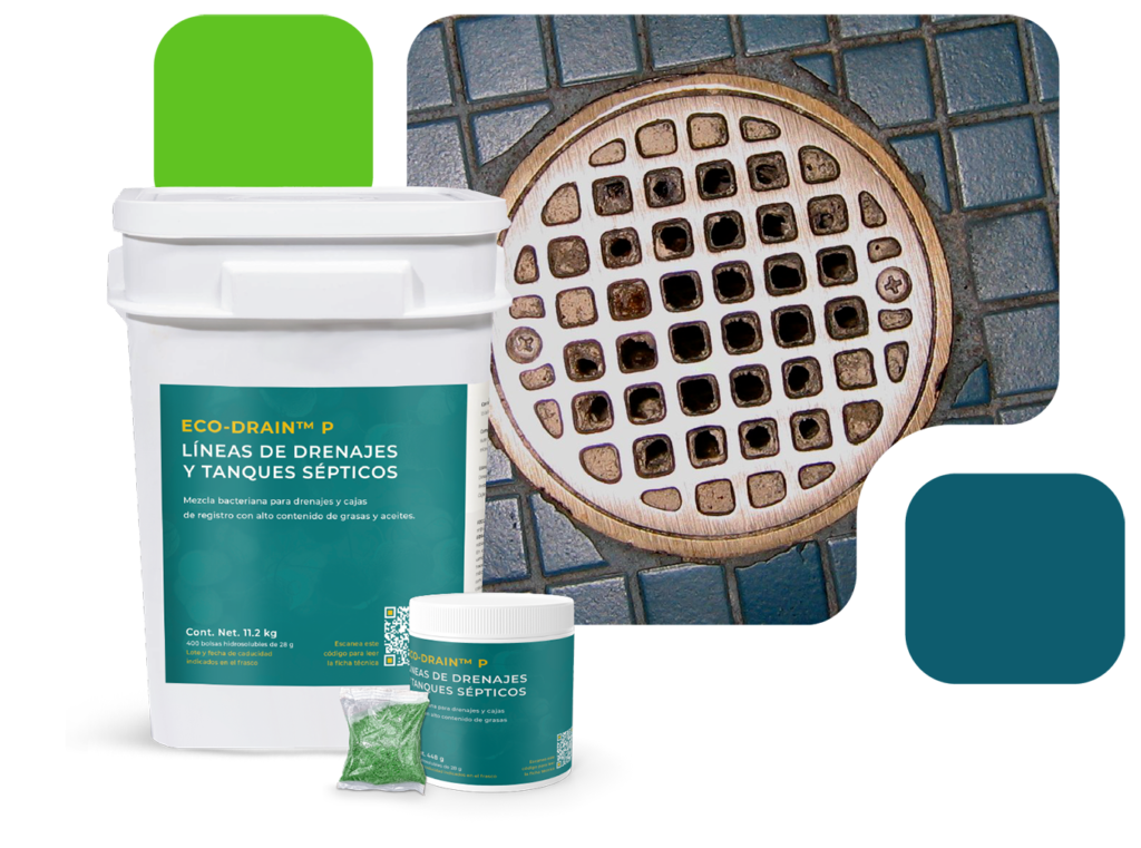 ECO-DRAIN™ P Limpieza y mantenimiento de líneas de drenaje y registros ...